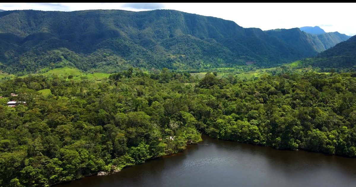 Productos · Café verde de Perú 80–88 SCA y cacao fino de aroma | Verdus ...
